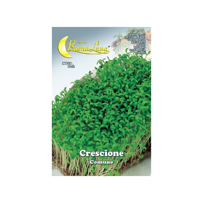 Crescione Comune Seeds Seeds Gardening - The Atrium