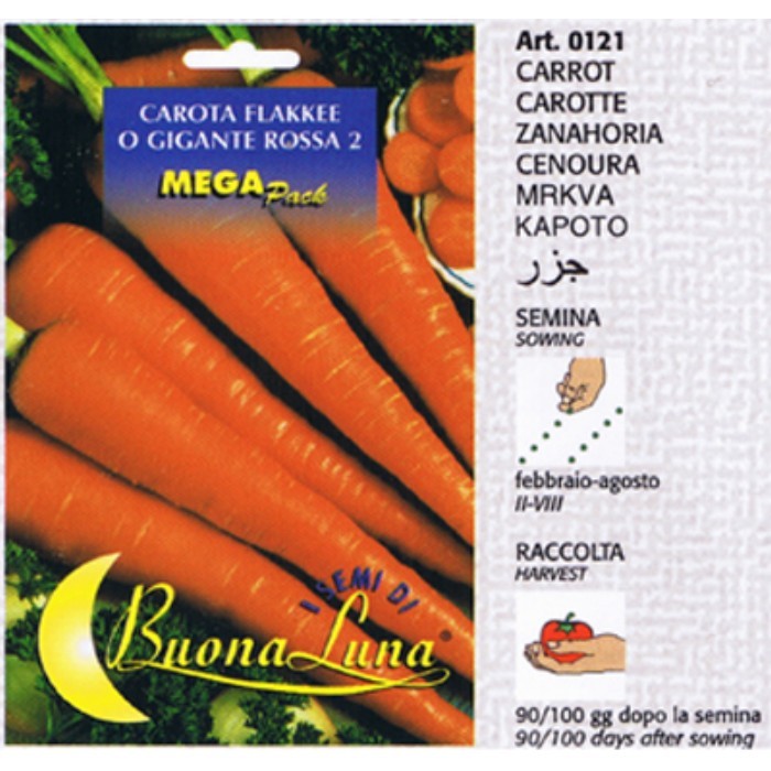 Giant Carrot Seeds Seeds Gardening - The Atrium