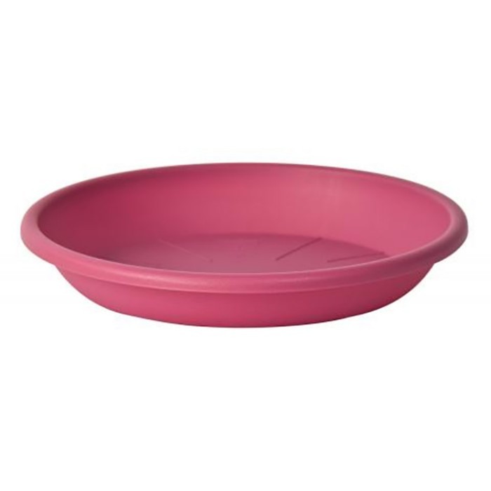 Medea Saucer 32Cm Cyclamen Pots Planters Troughs Gardening - The Atrium